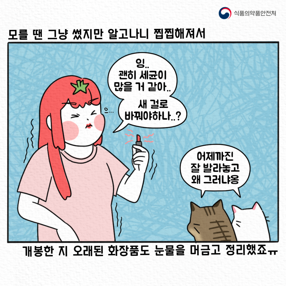 [웹툰] [직딩의 일상] 38. 화장품에도 유통기한이? ('21.1.19. 게재) | 혁신24 - 정부혁신 홈페이지 >