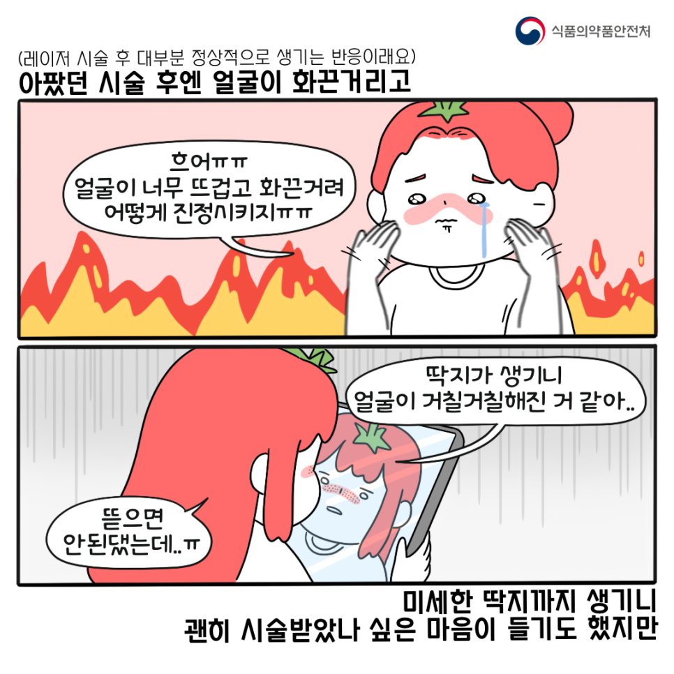 [웹툰] [직딩의 일상] 50화. 피부레이저 시술을 받았어요 ('21.7.28. 게재) | 혁신24 - 정부혁신 홈페이지 >